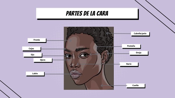 Copia - partes de la cara