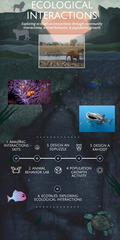 ET5043 Mod 5 Application-Reflection