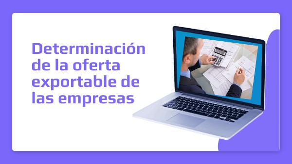 Determinacion de la oferta exportable de las empresas
