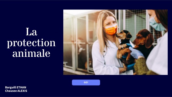 LA PROTECTION ANIMALE | Genially