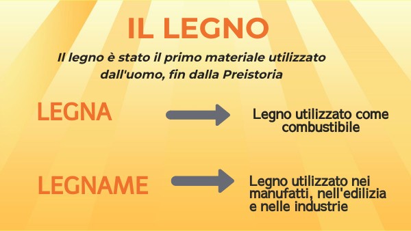 IL LEGNO