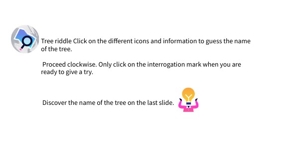 BASIC PRESENTATION