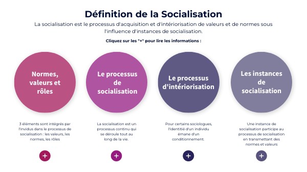La socialisation