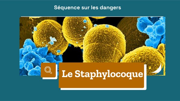 Le staphylocoque : | Genially