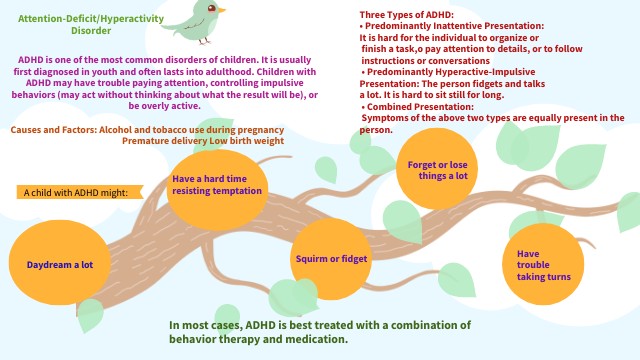 BRANCH LIST