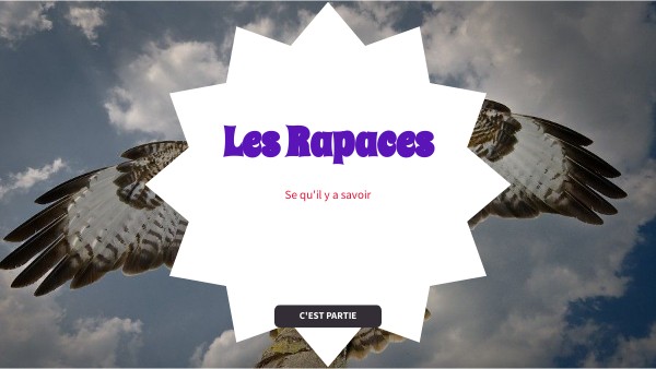 les rapaces | Genially