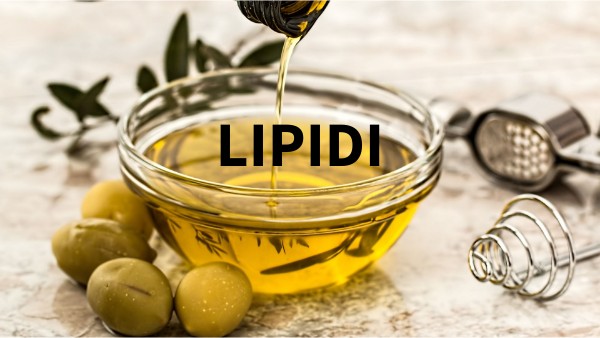 LIPIDI | Genially