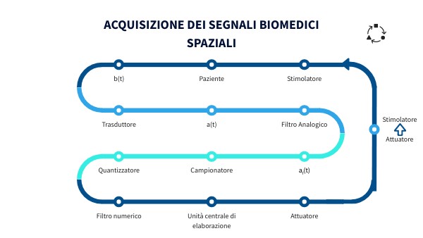Schema di acquisizione dell'info biomedica - spazio | Genially