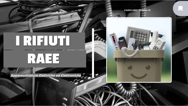 I RIFIUTI RAEE