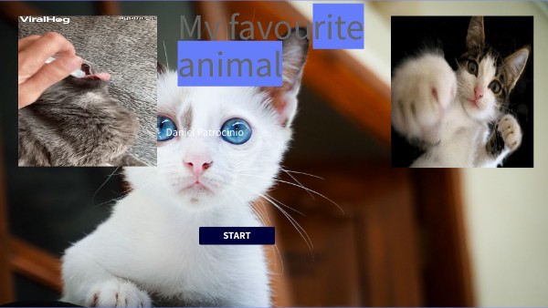 GENIAL REPORTING | Genially