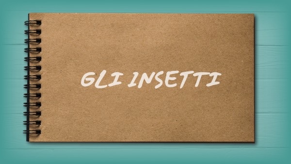 Gli insetti | Genially