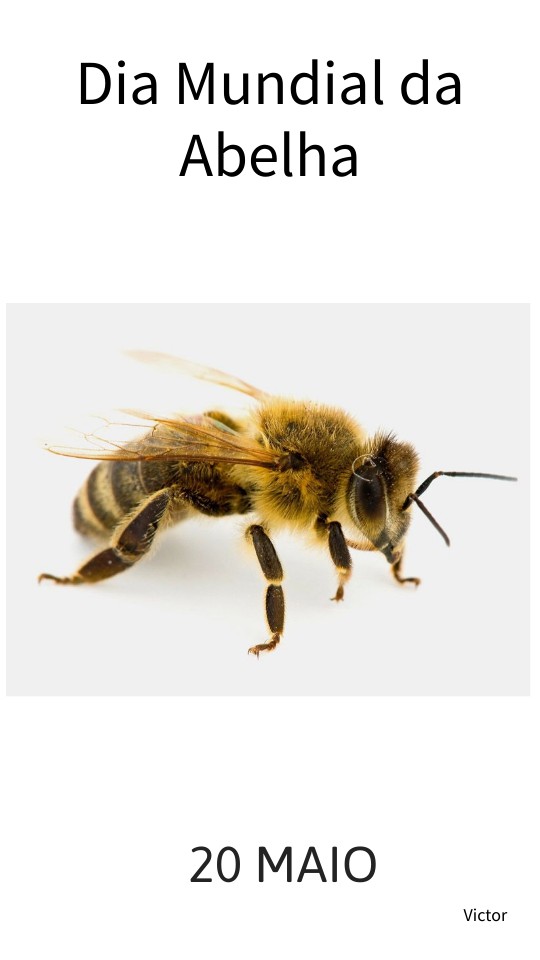 Abelha