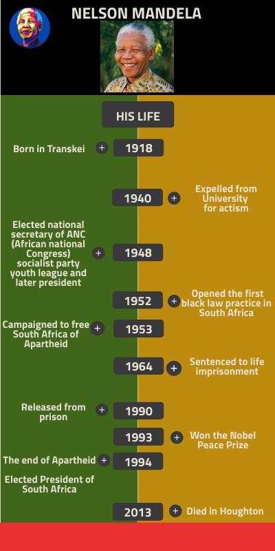 TIMELINE COMPARISON | Genially