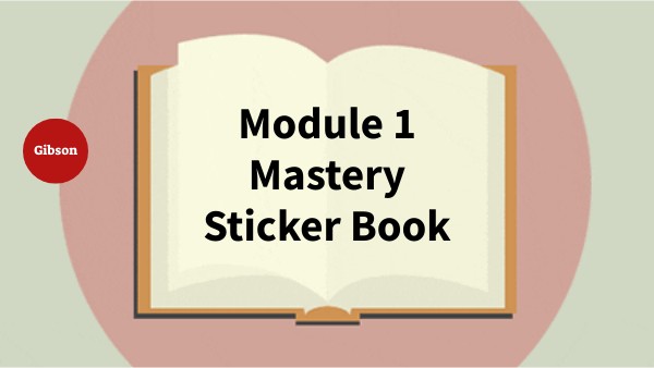 3rd grade mastery check book