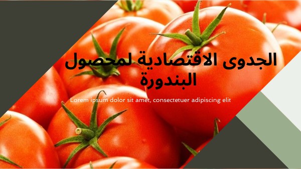 DIAGONAL PROJECT PRESENTATION | Genially