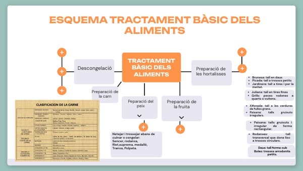TRACTAMENT BASIC ALIMENTS | Genially