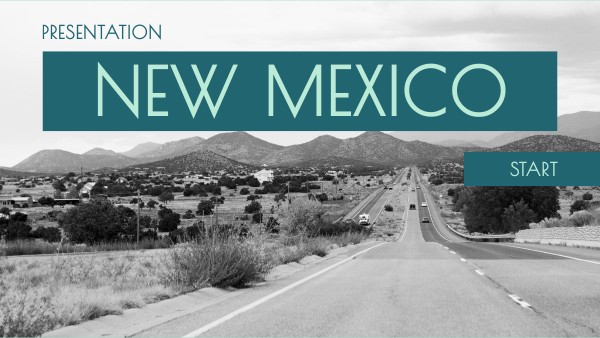 New Mexico