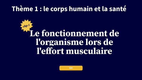 le fonctionnement de l'organisme lors de l'effort musculaire