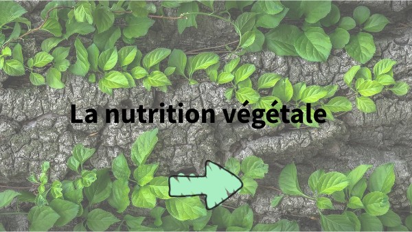 Besoins des plantes 5e | Genially