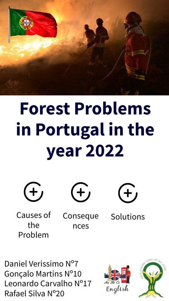 BASIC SLIDESHOW MOBILE