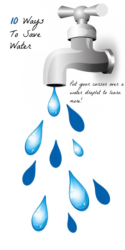 Ten Ways To Save Water