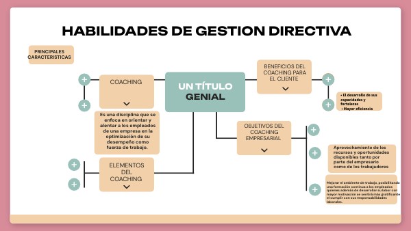 Producto integrador. Modelo de habilidades de gestión directiva-Leslie ...