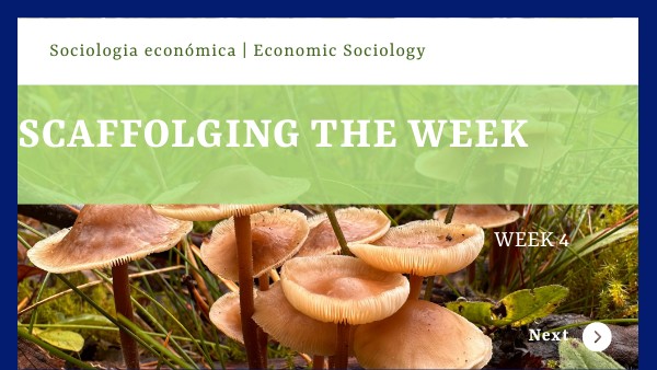 Week 4 - Scaffolding the week | Genially