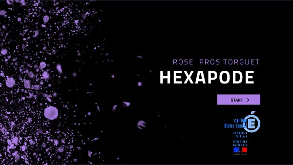 HEXAPODE ROSE | Genially