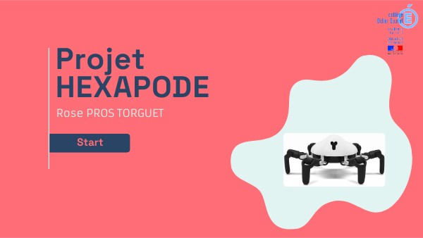 ROSE HEXAPODE | Genially