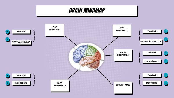 BRAIN MINDMAP | Genially