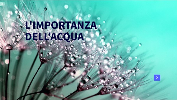 L'IMPORTANZA DELL'ACQUA | Genially
