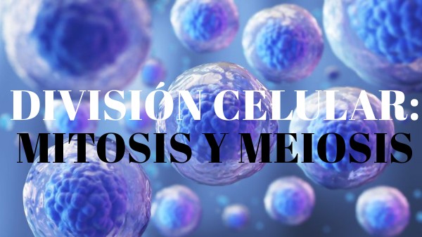 División Celular: Mitosis y Meiosis | Genially