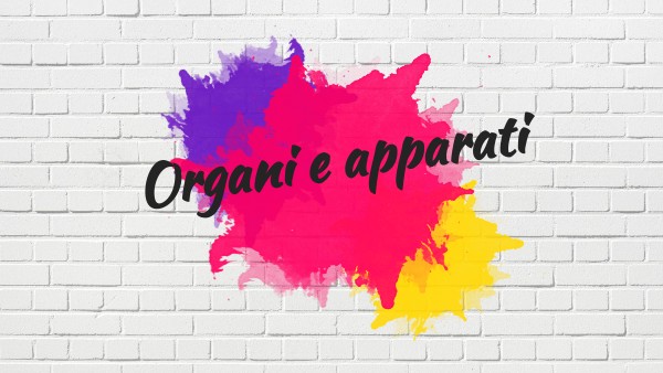 organi e apparati