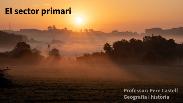 El sector primari | Genially