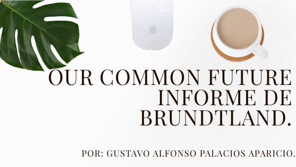 Our Common Future informe de Brundtland.