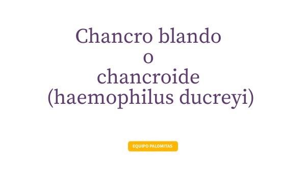 Chancro blando | Genially