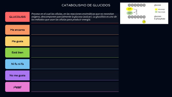 LISTA DE NIVELES | Genially