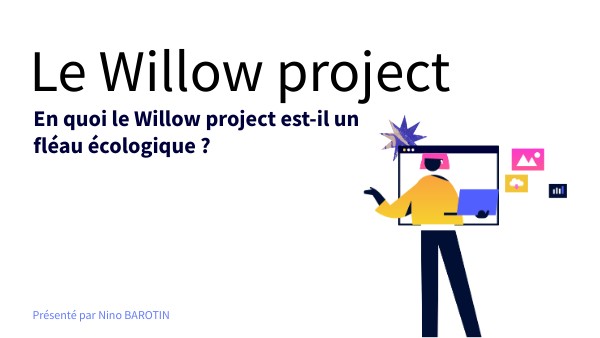 Oral DNB Willow project