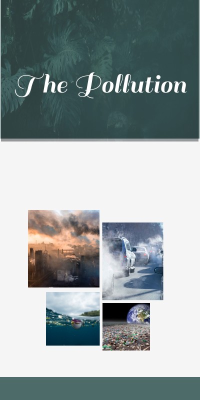 THE POLLUTION