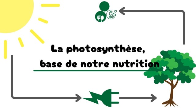 ES Lisa Loutina Romane | Genially