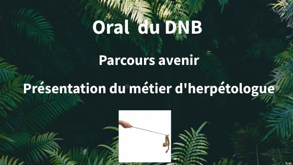 Oral DNB Canovas Augustin 3D | Genially