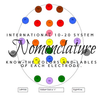 10-20 System Nomenclature