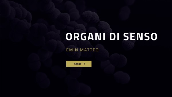 Presentazione scienze