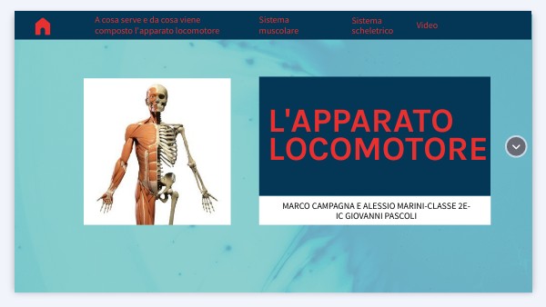 APPARATO LOCOMOTORE | Genially