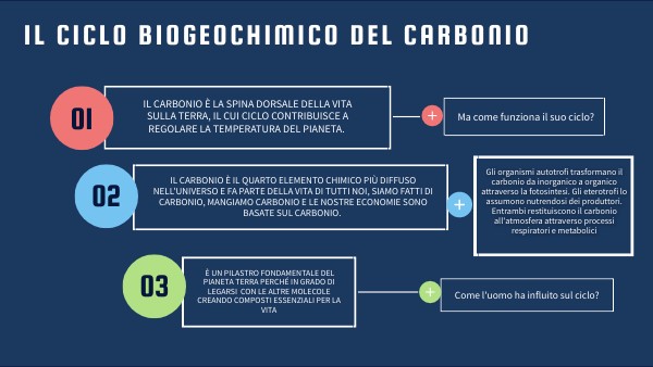 IL CICLO BIOGEOCHIMICO DEL CARBONIO | Genially