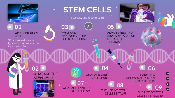 STEM CELLS
