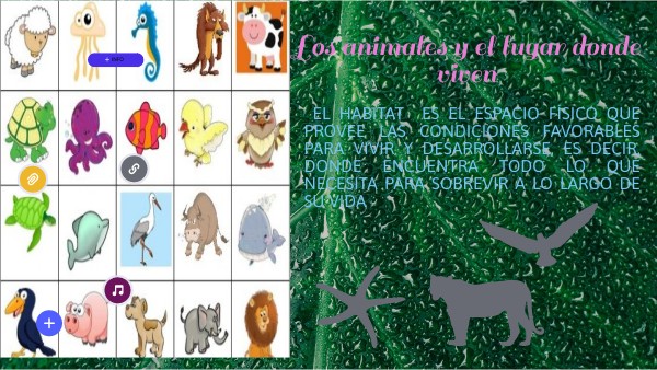 Los animales y el lugar donde viven. | Genially