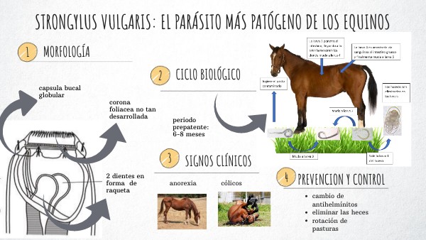 CHECKLIST VISUAL THINKING | Genially