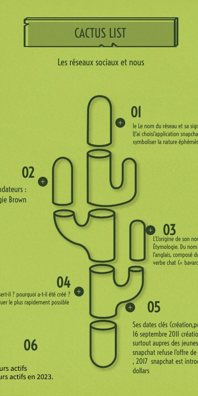 Infographie sur snapchat Benjamin Lions 2°7