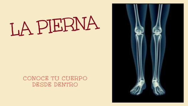 la pierna